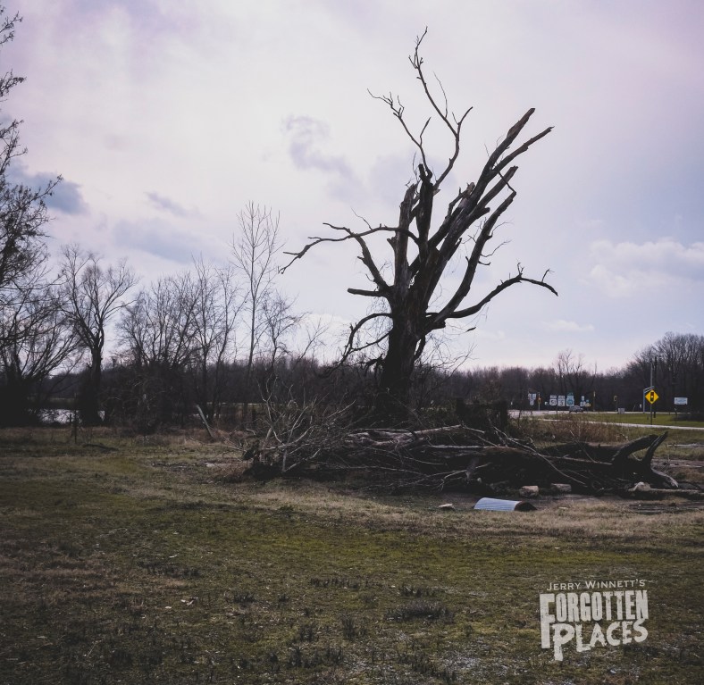 Cairo, Illinois, once a town of promise. Today it’s all but abandoned ...