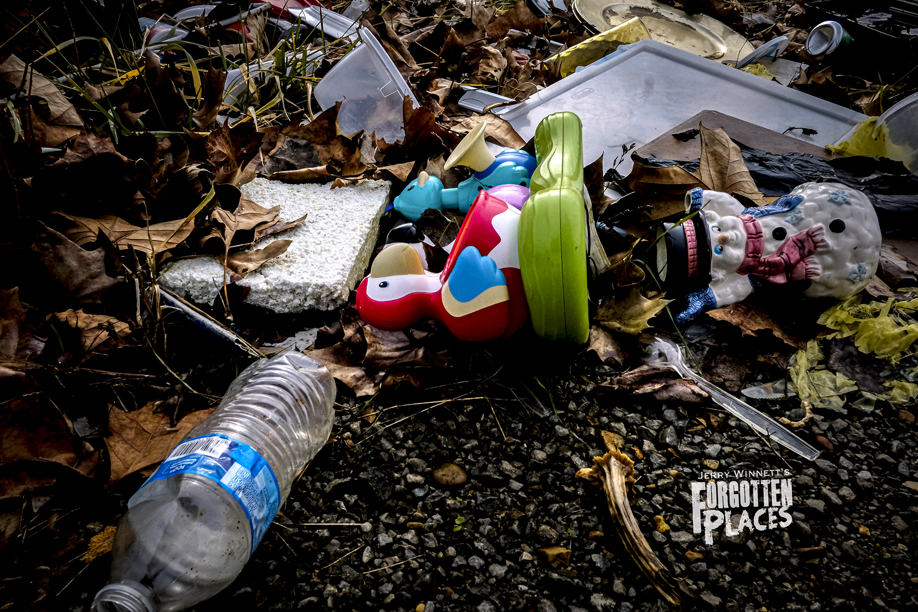 Cairo, Illinois, once a town of promise. Today it’s all but abandoned ...